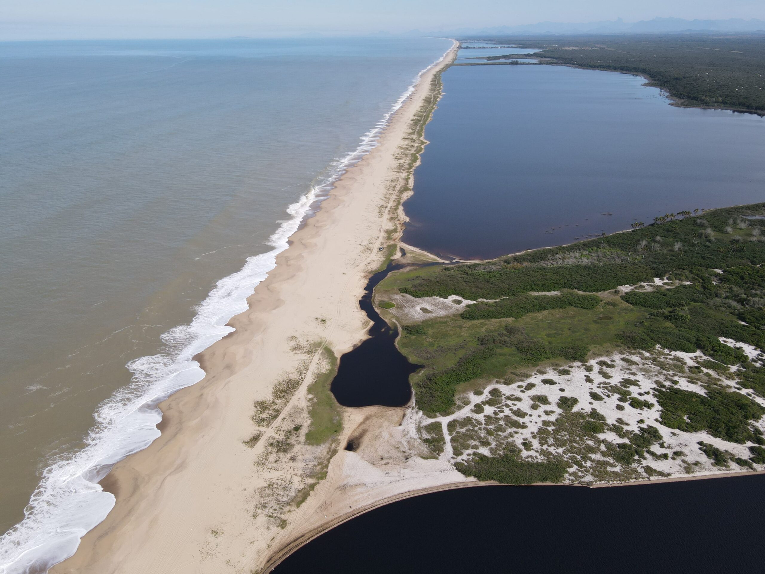 Ceará foi o estado que mais desmatou o bioma de restinga em 2022 e 2023
